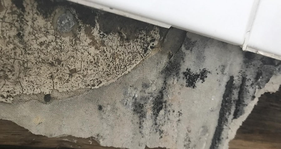Mould Remediation – Storm Restoration Services