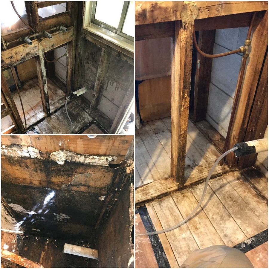 Mould Remediation – Storm Restoration Services